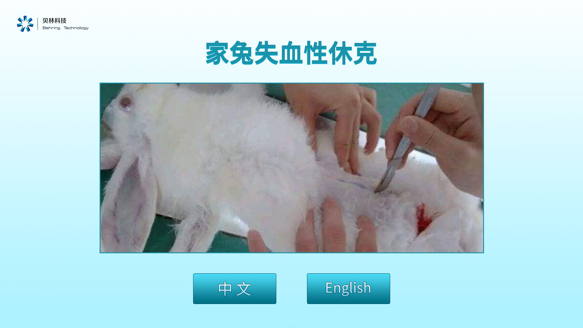 长春贝林科技发展有限公司 - 虚拟仿真